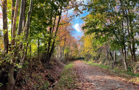 Homepage | CS Davidson - Engineering A Better Community